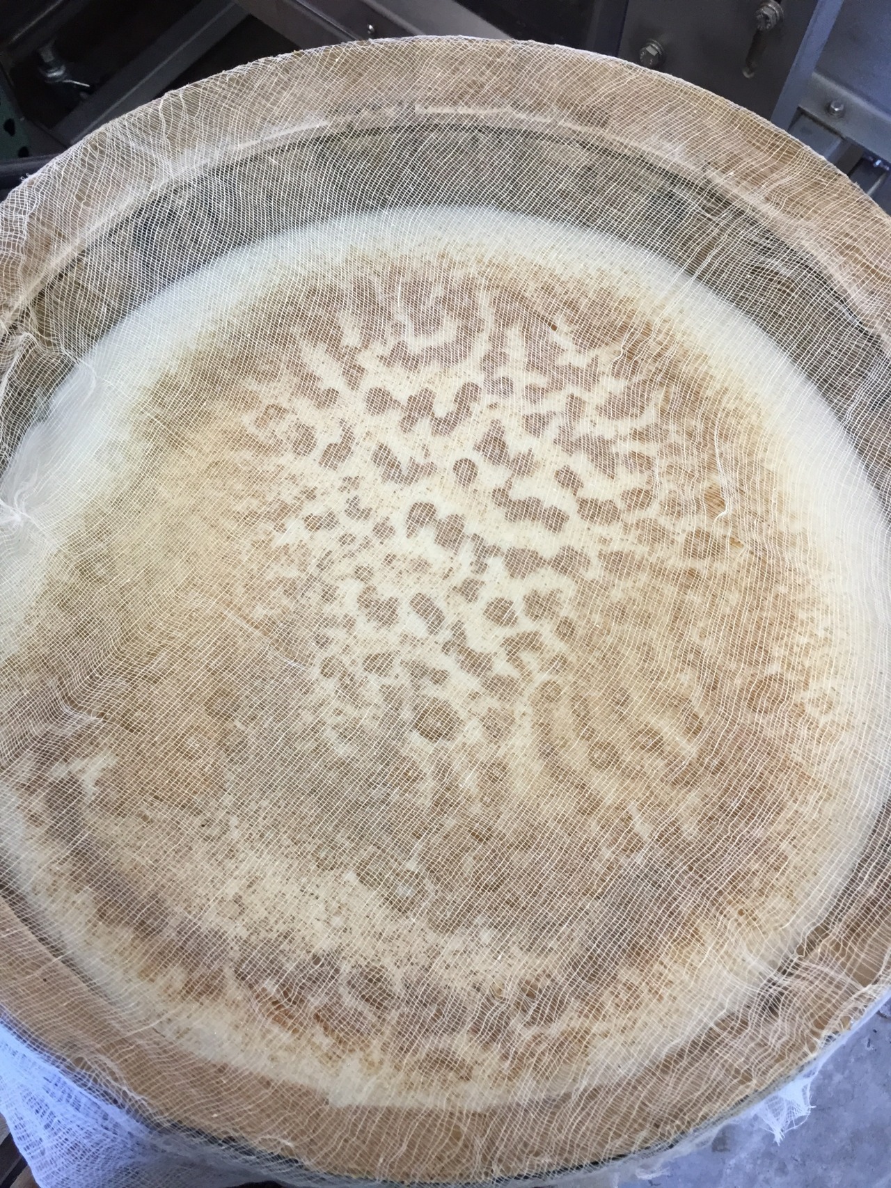 Show me your Pellicle - Oakshire Brewing